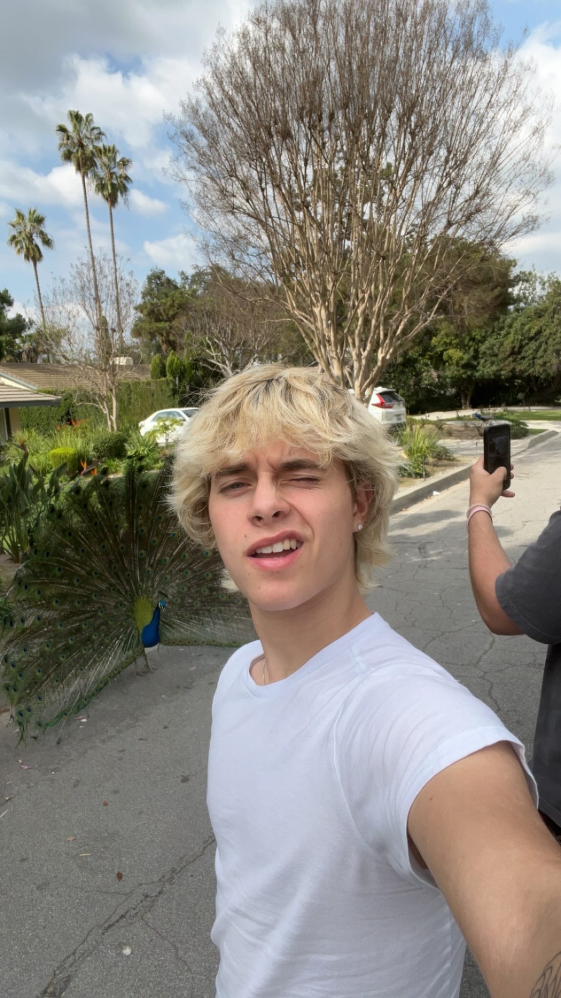 Picture Of Gavin Magnus In General Pictures Gavin Magnus 1710204839 Teen Idols 4 You